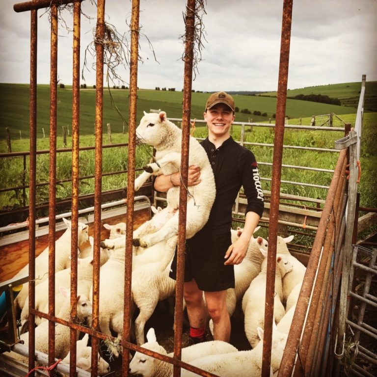 Agricultural Bursaries - John Innes Foundation